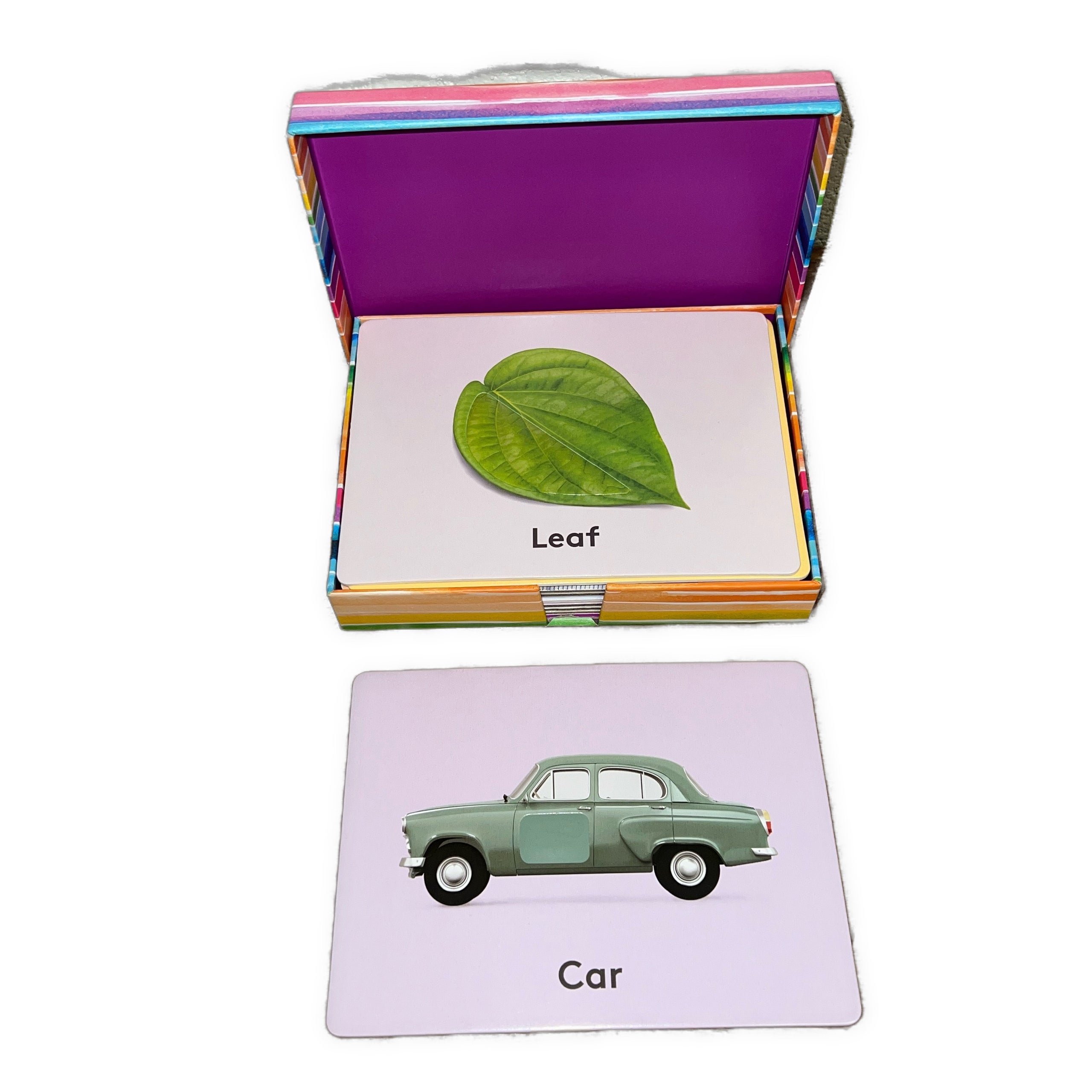 Lovevery INSPECTOR Things I See Texture Cards | Chameleon Kids Consignment